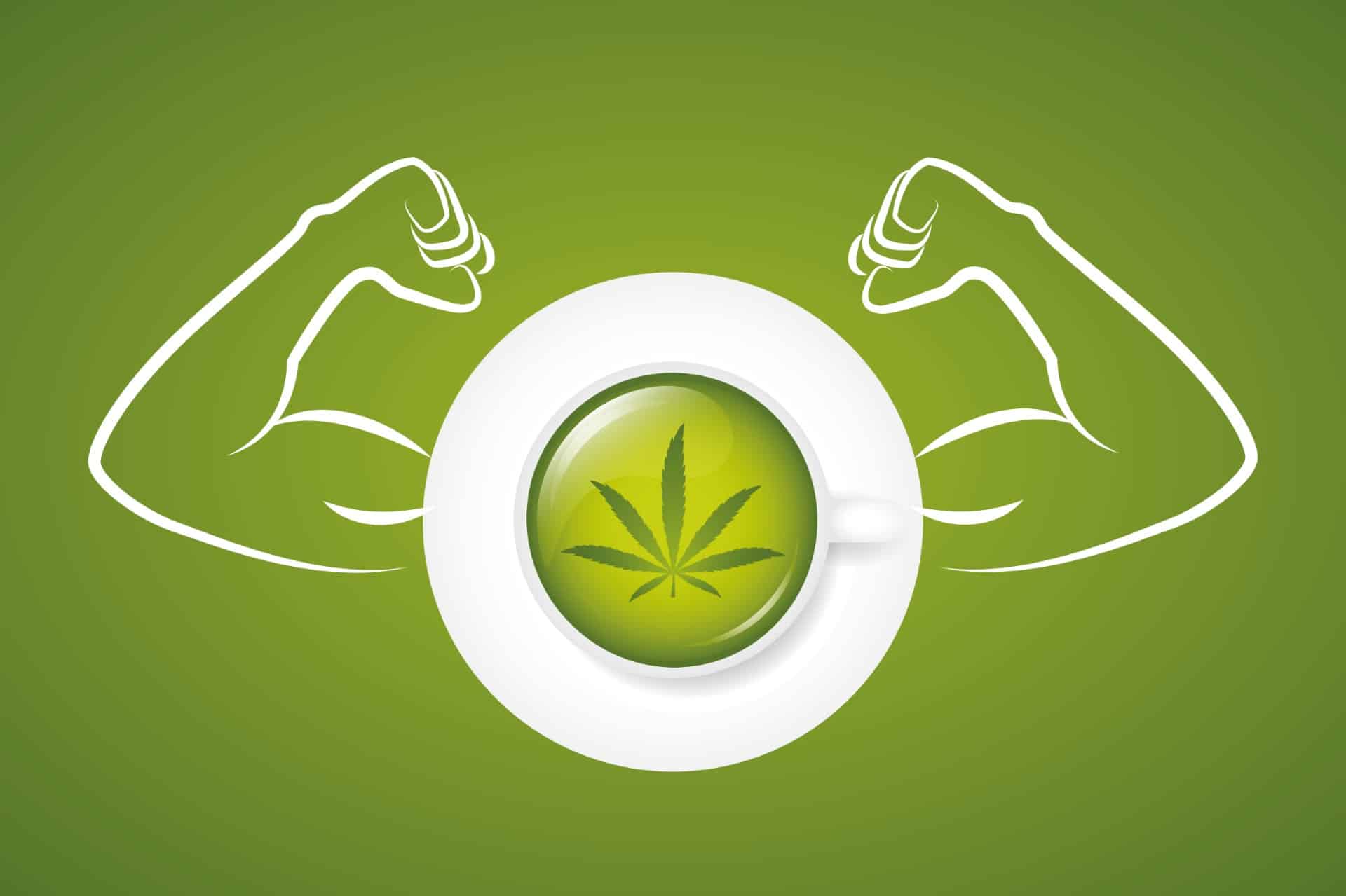 Does Weed Affect Muscle Growth? What Science Says About Cannabis and ...
